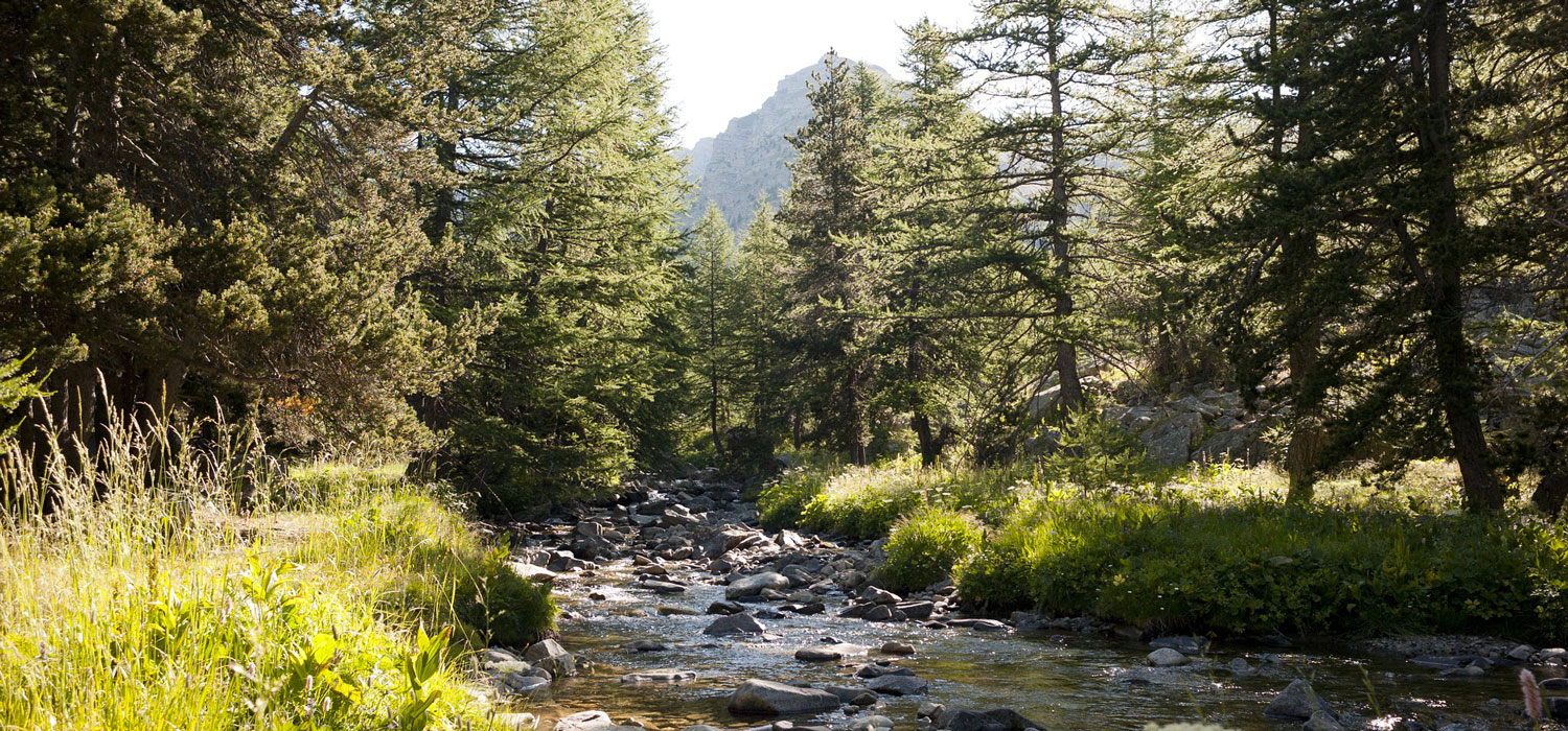 Découvrez les services rendus par les écosystèmes d’eau douce en France ...