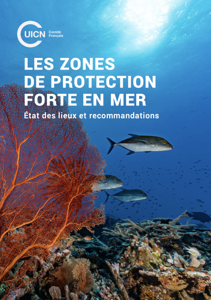 Congrès UICN : Zones de protection forte en mer, un rapport inédit ...
