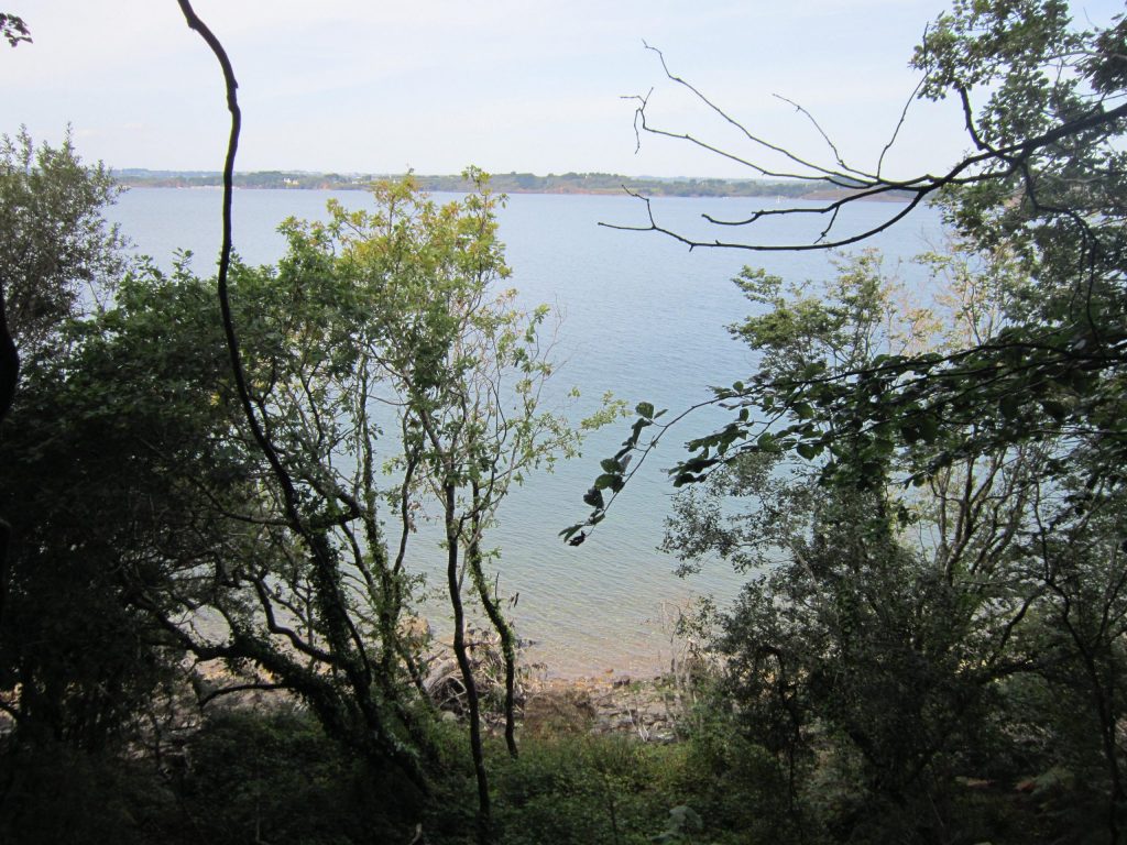 Réserve biologique intégrale du Bois du Loc'h - UICN France