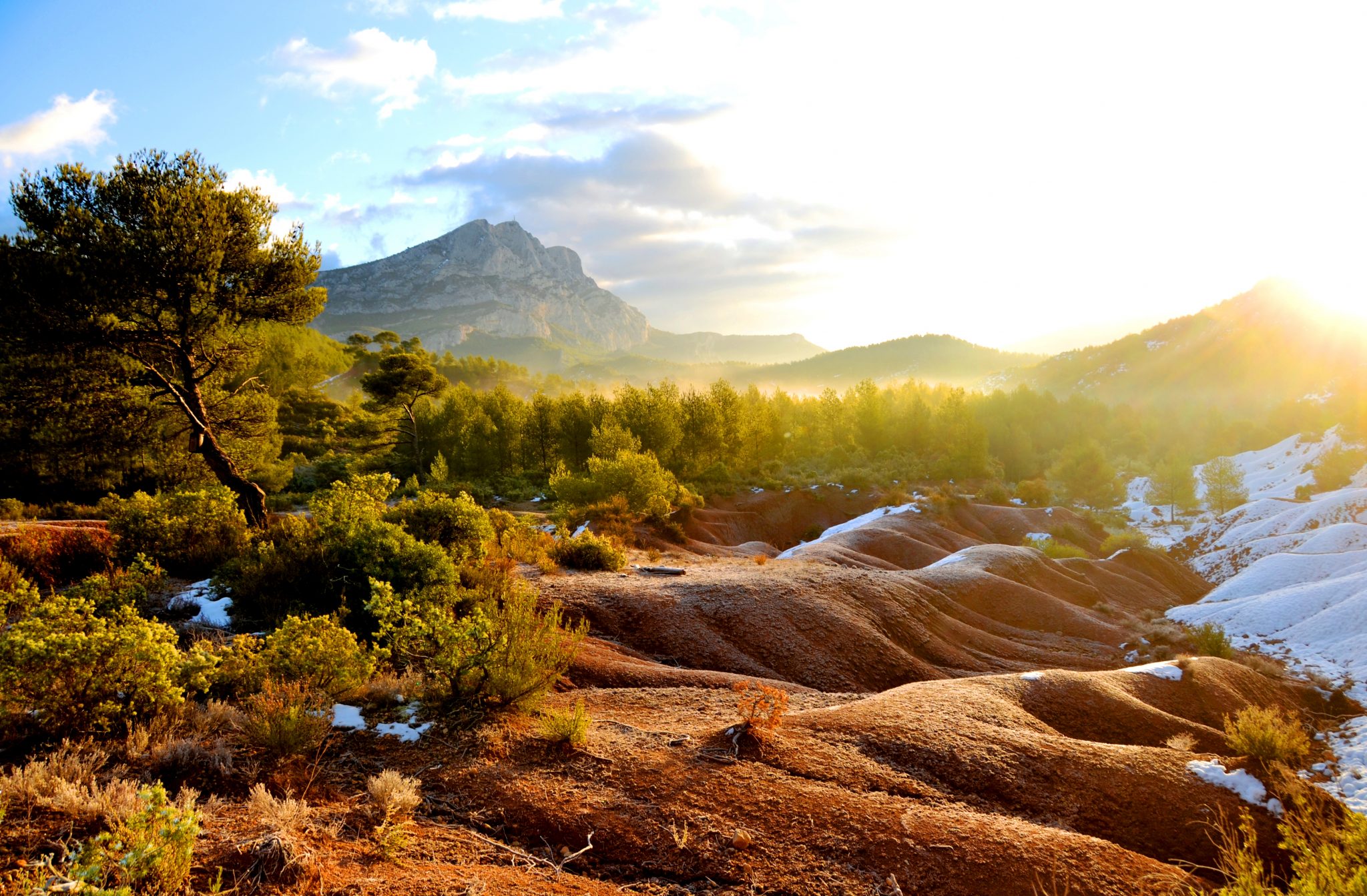 Réserve naturelle nationale de la montagne Sainte-Victoire - UICN France