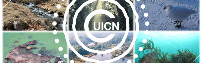 10 questions-réponses pour comprendre le programme de la Liste verte des aires protégées de l ...